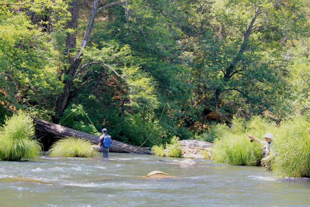 California Trout-Pit River - Wild & Scenic Film Festival