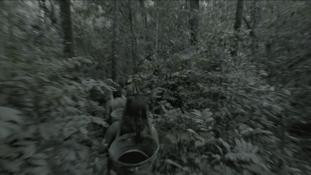 Mãri hi - The Tree of Dream - Wild & Scenic Film Festival