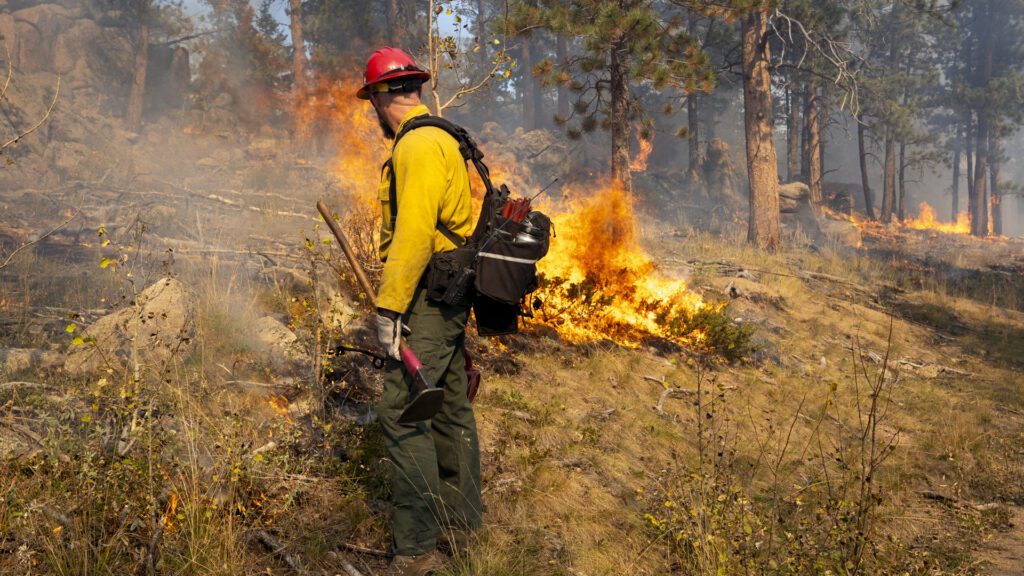 Fireforest Wild Scenic Film Festival