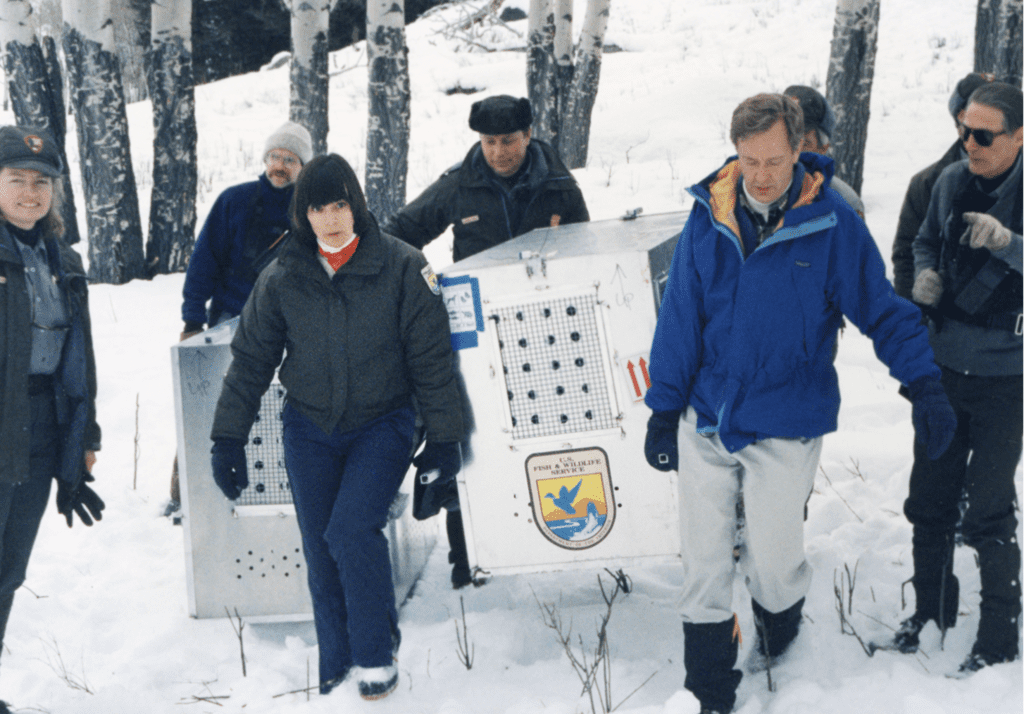 Mollie's Pack - Wild & Scenic Film Festival